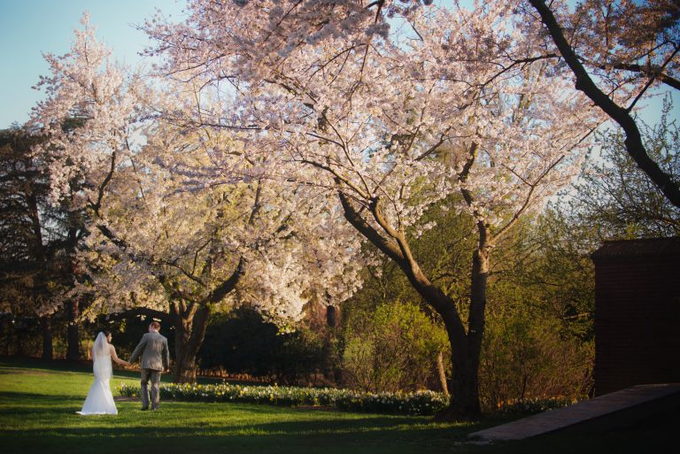 Oxon Hill Manor Wedding