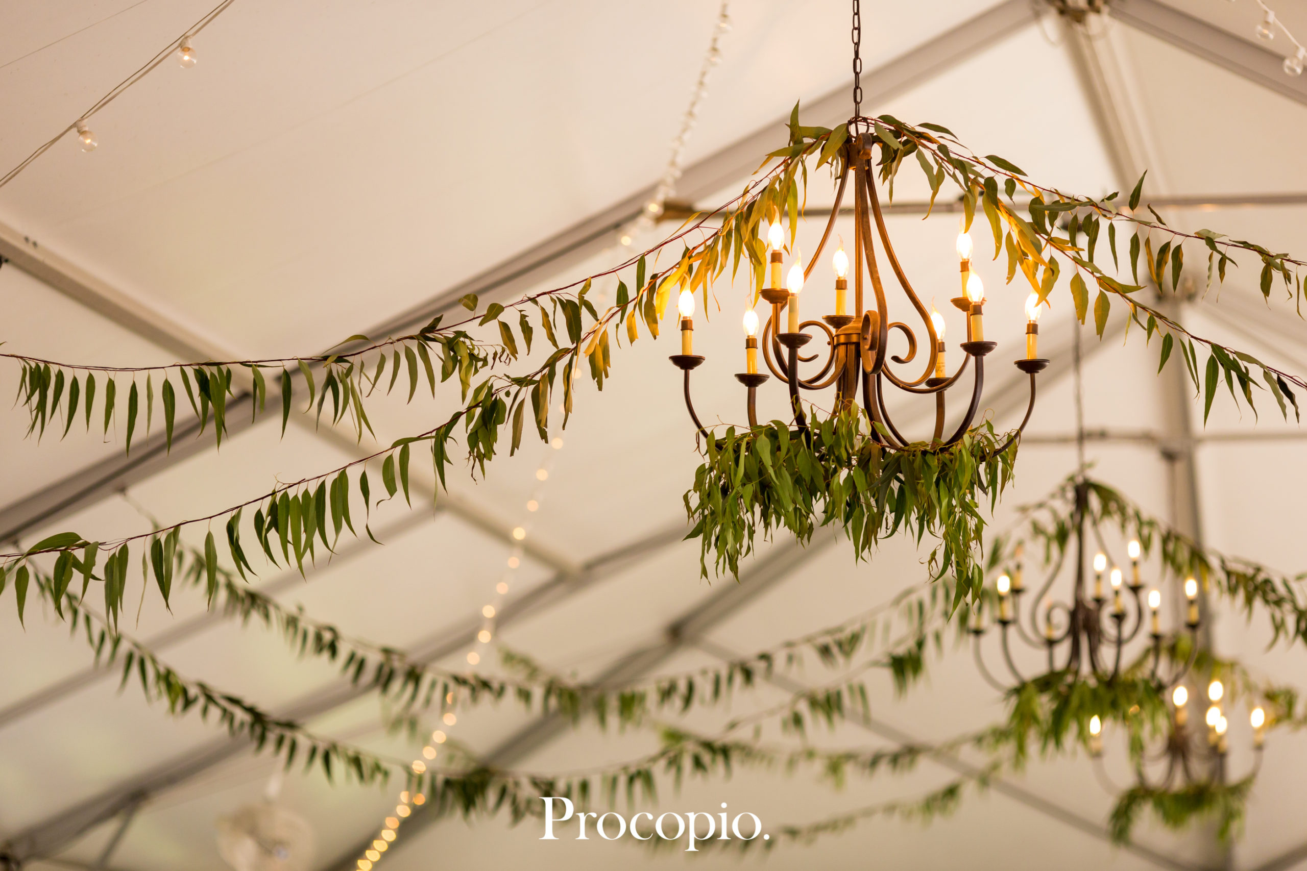 Rust Manor House Wedding - Bellwether Events